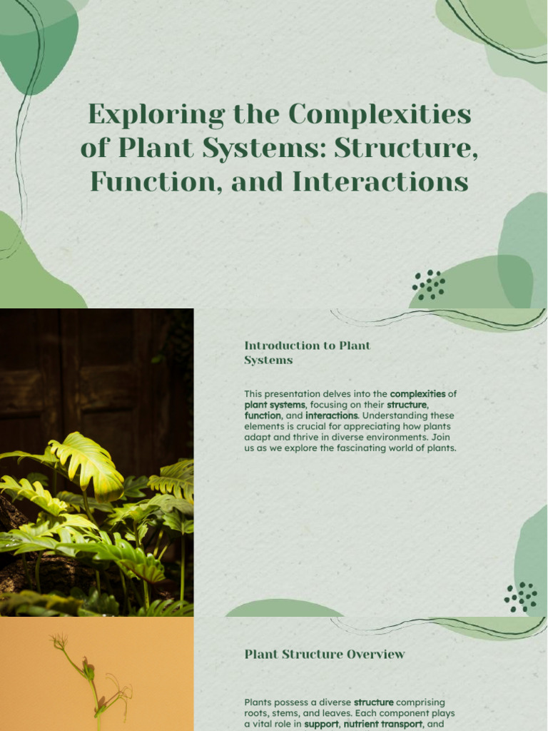 Plant Systems: Structure & Function | PDF