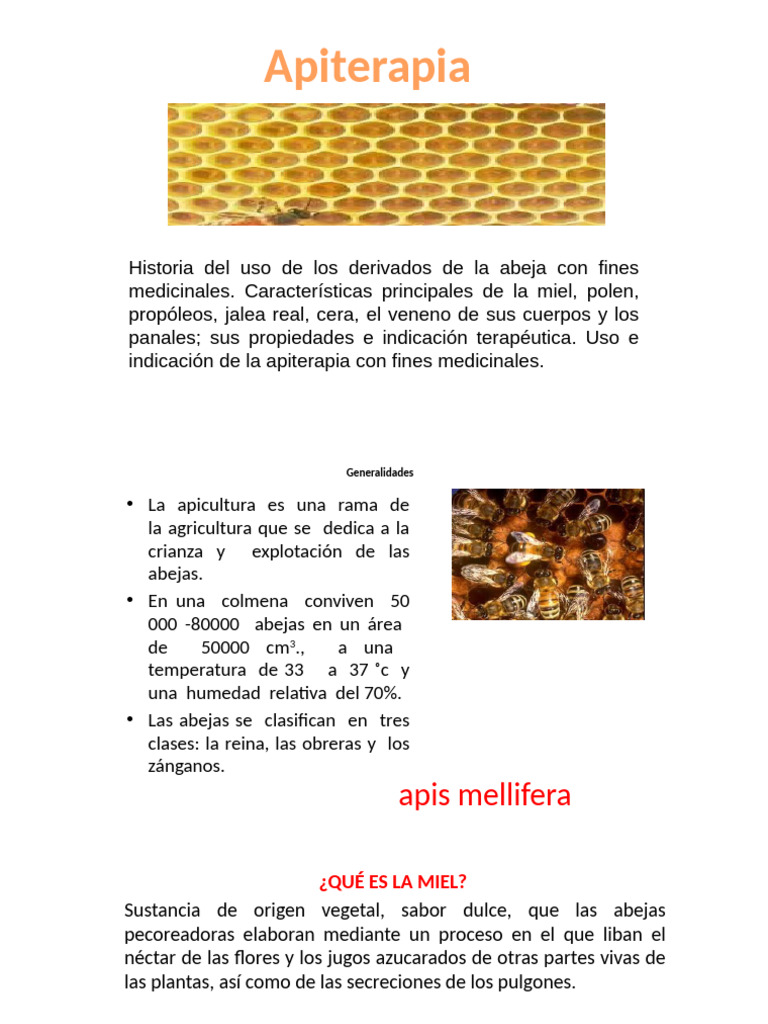 C7 Apiterapia | PDF | Western Honey Bee | Miel