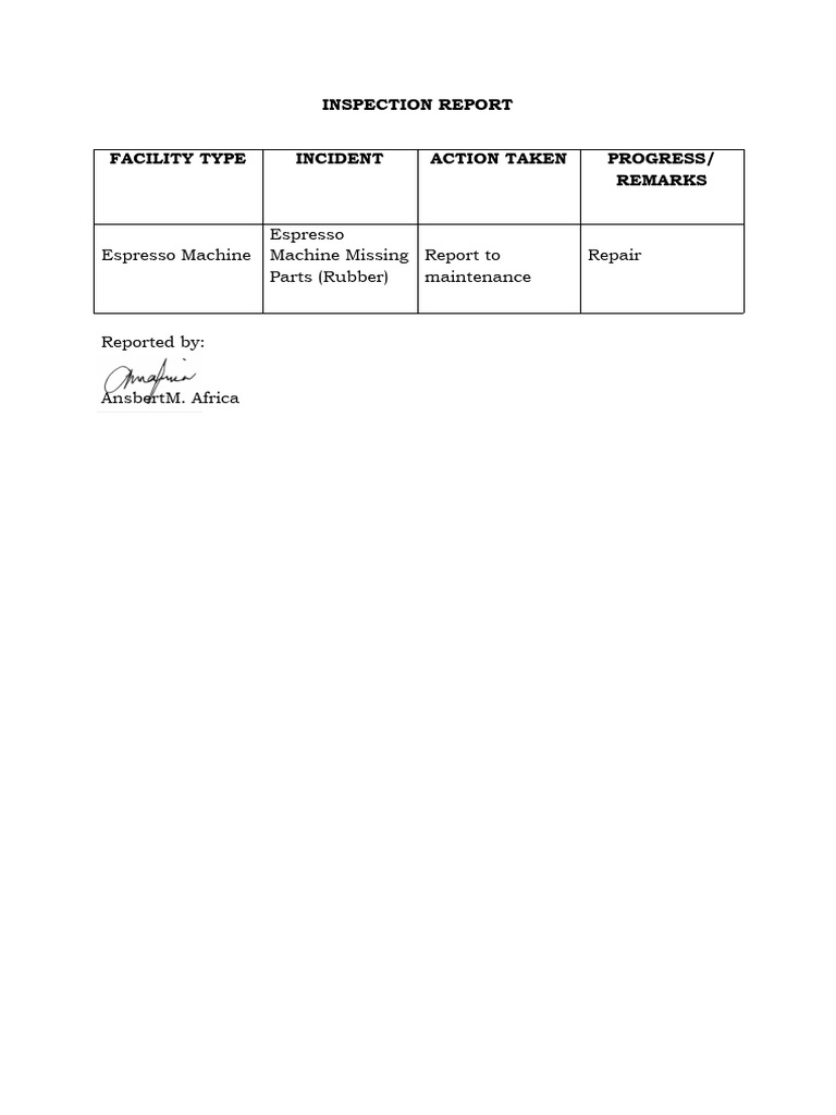 AMA-INSPECTION REPORT | PDF