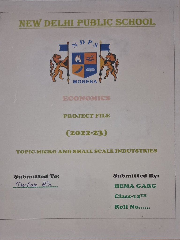 Economics Practical | PDF