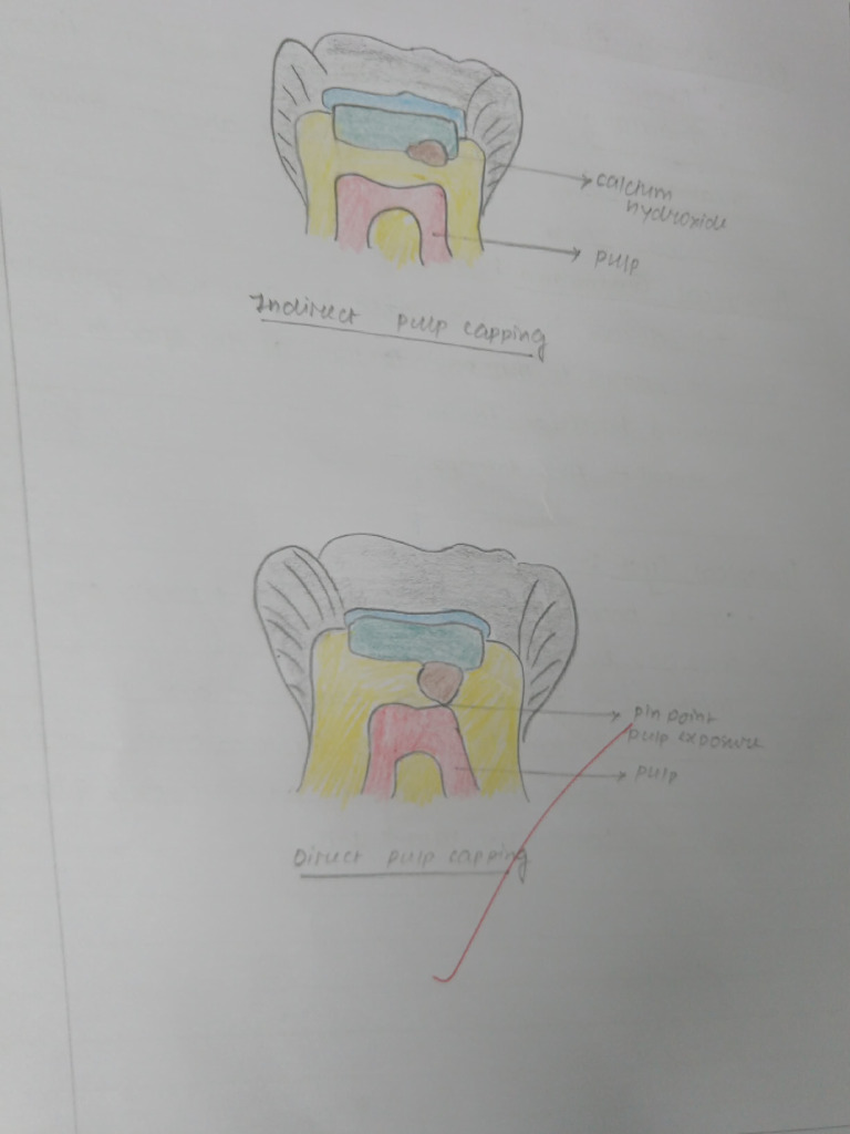 Pedo File Part 3 | PDF