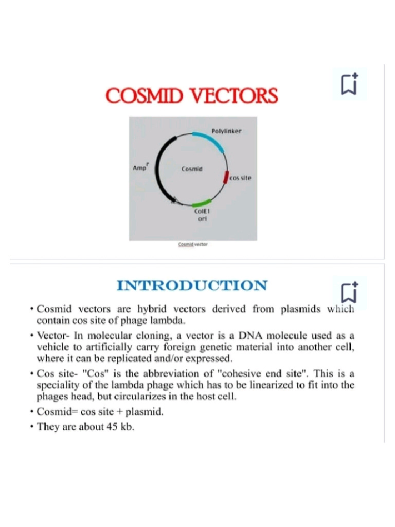 Cosmid Vector Pdf