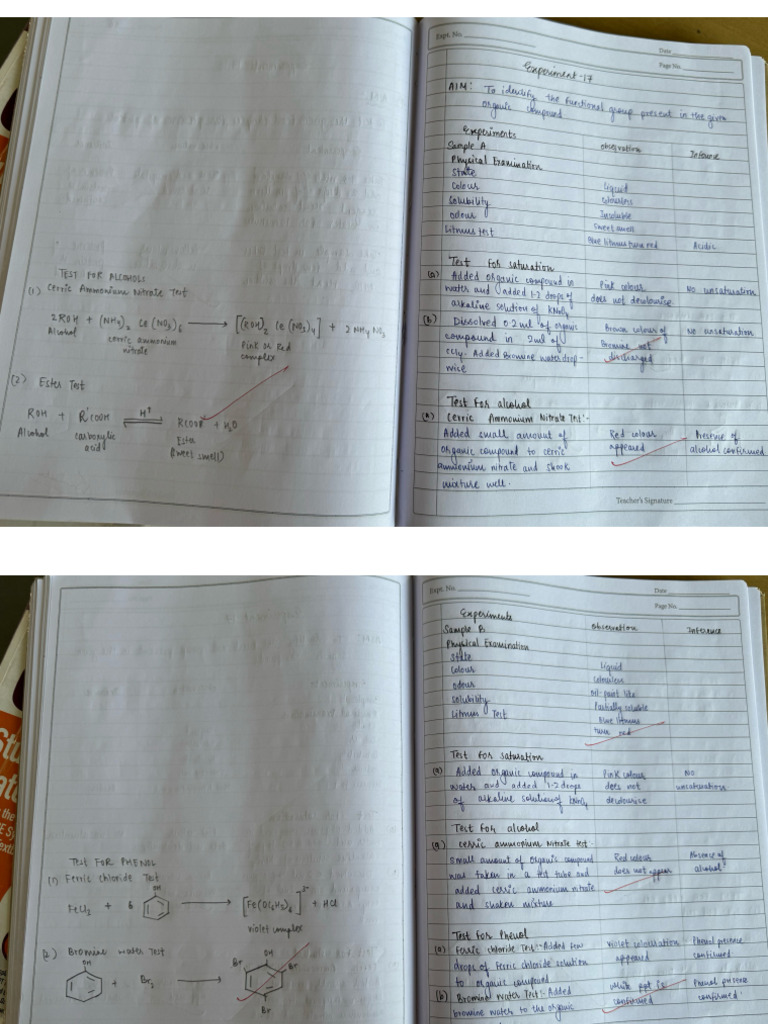 Experiment 18 Functional Groups | PDF