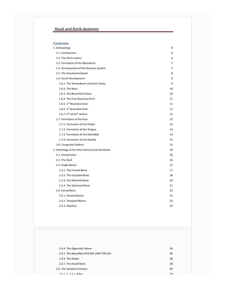 Head and Neck Anatomy - Docx Google Docs | PDF