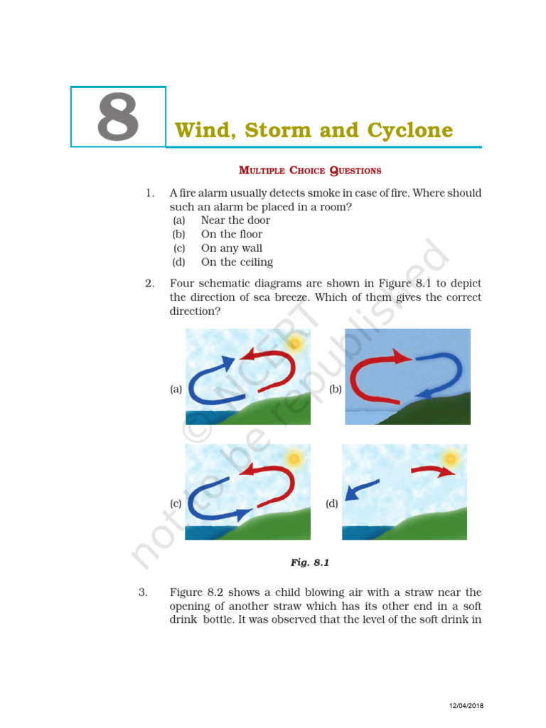 Wind, Storm and Cyclone | PDF | Wound | Cyclone