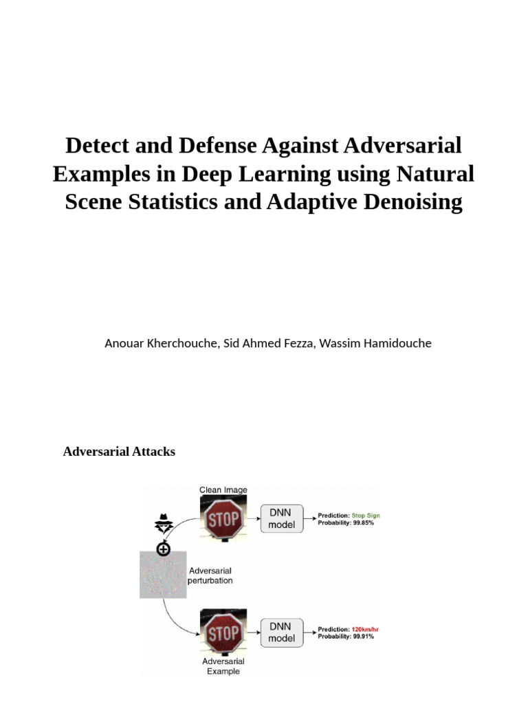Adversarial Examples Presentation | PDF | Applied Mathematics | Learning