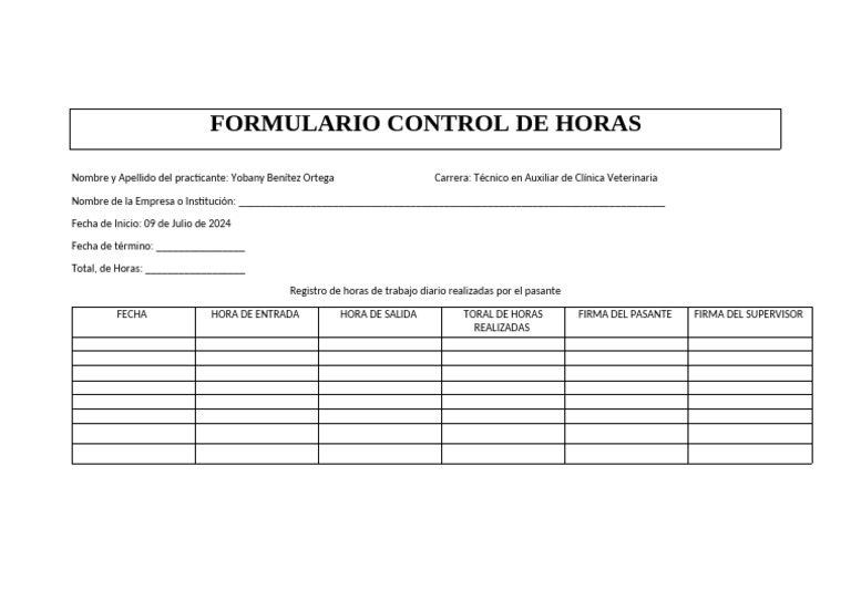 FORMULARIO CONTROL DE HORAS | PDF