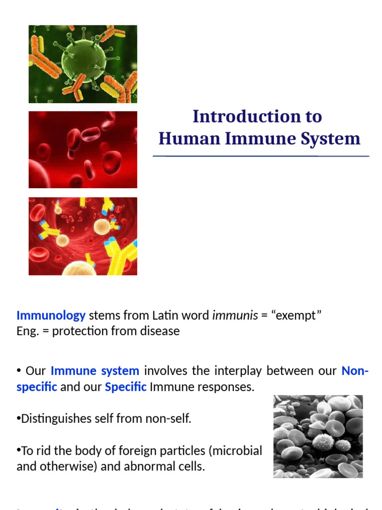 Cells | PDF | Granulocyte | Immune System
