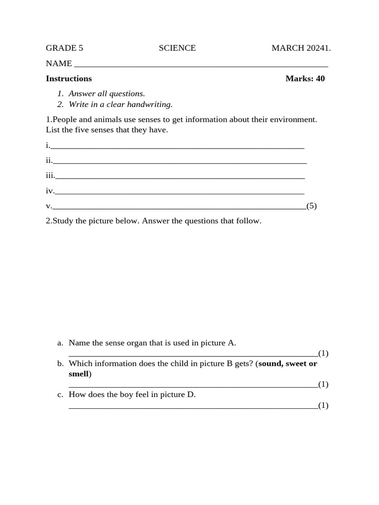 SCIENCE GRADE 5 | PDF | Senses