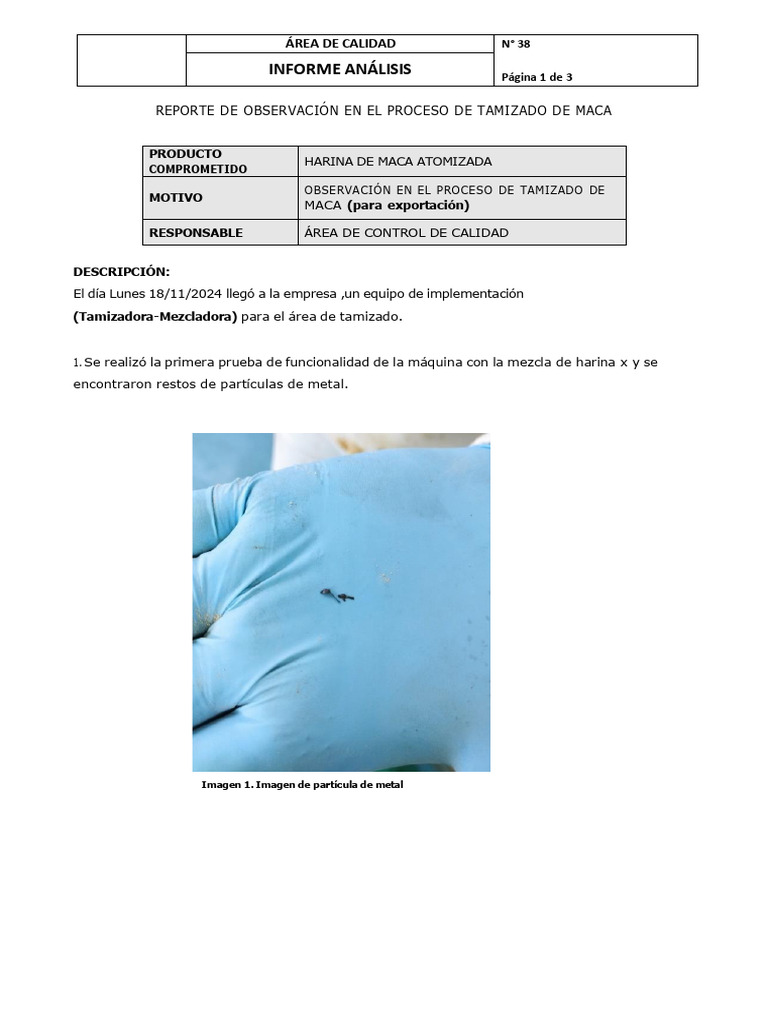 Informe 38-Reporte de Observación en El Proceso de Tamizado de Maca | PDF