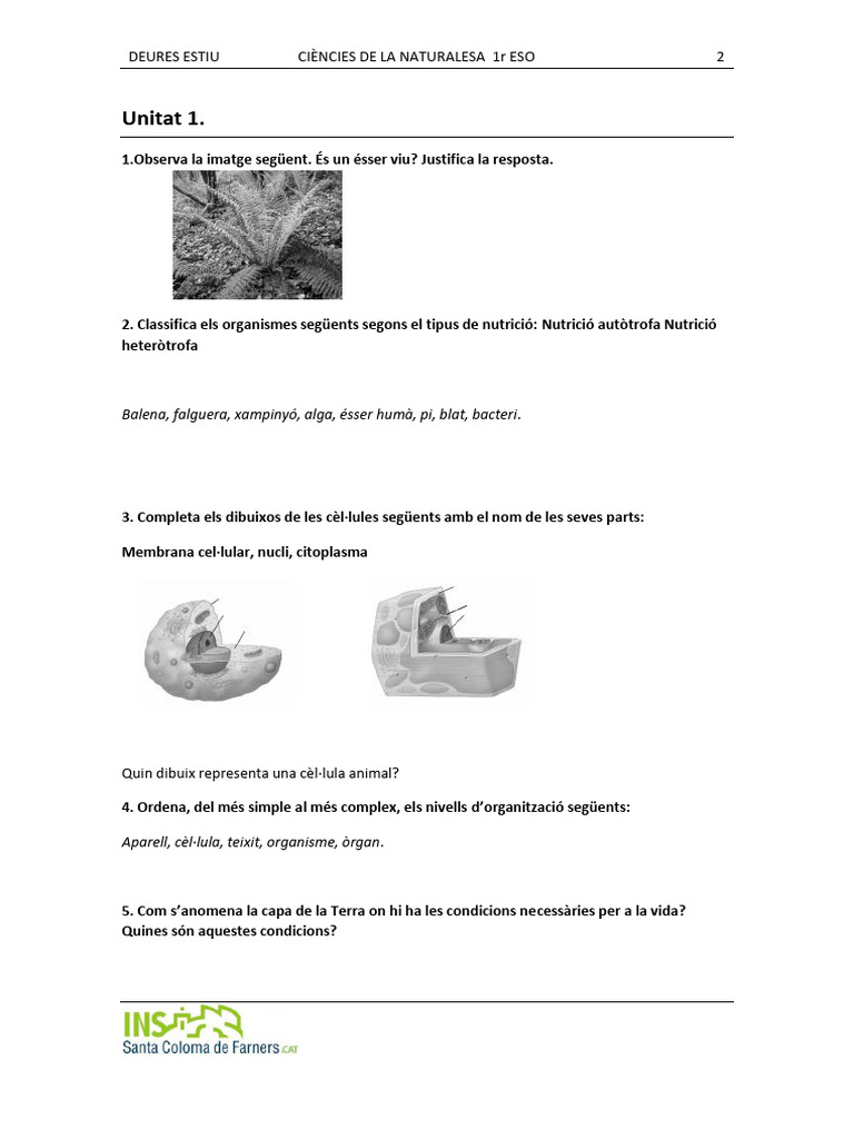 Deures Estiu 1r ESO 201620160627 2 | PDF