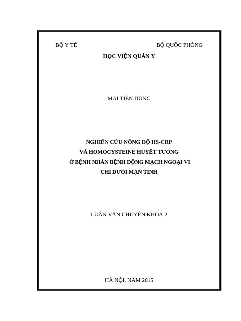 Lv Mai Tien Dung | PDF