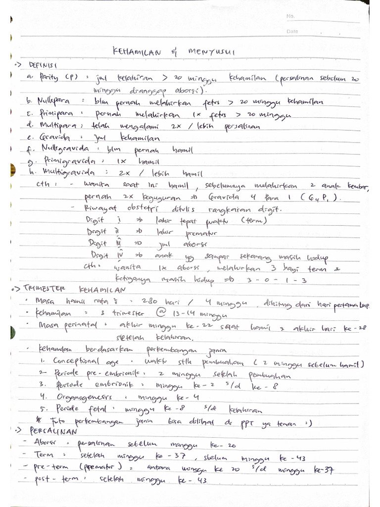 Bumil Busui | PDF