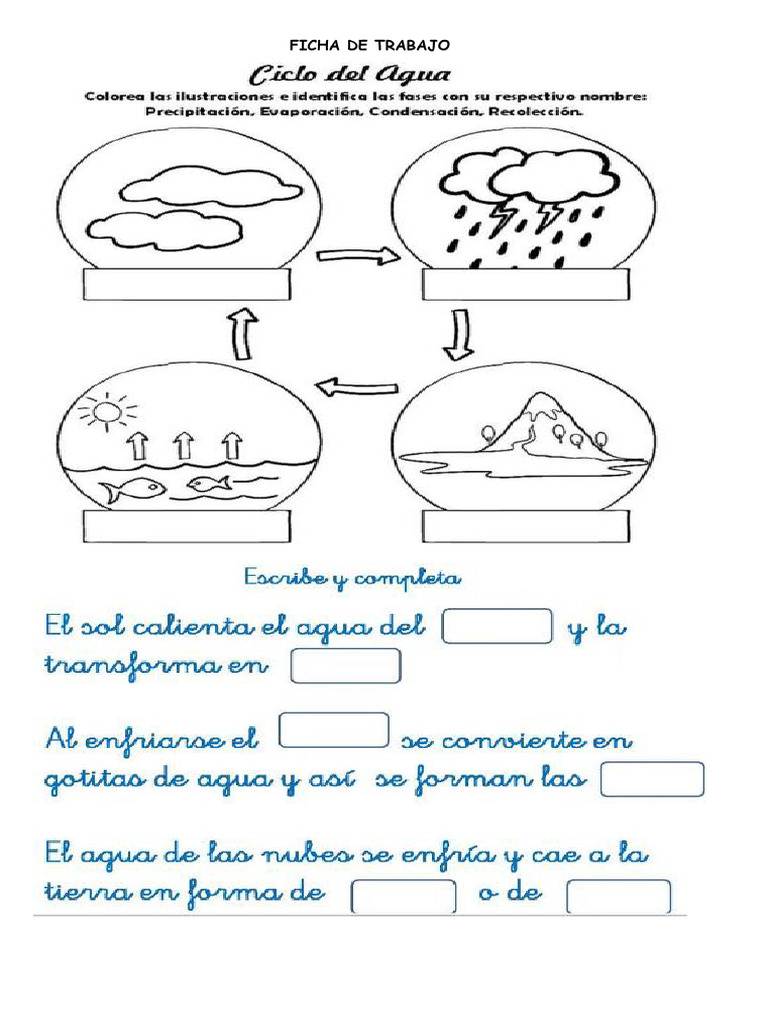 FICHA DE TRABAJO CyT CICLO DEL AGUA | PDF
