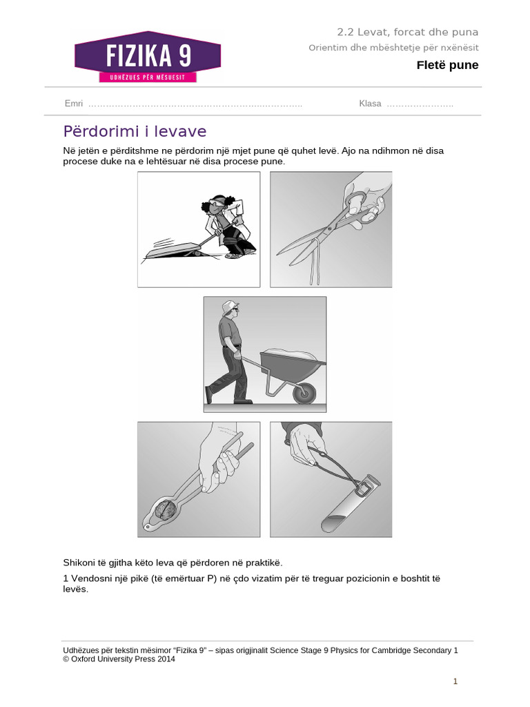 21 Flete Pune: Perdorimi I Levave | PDF