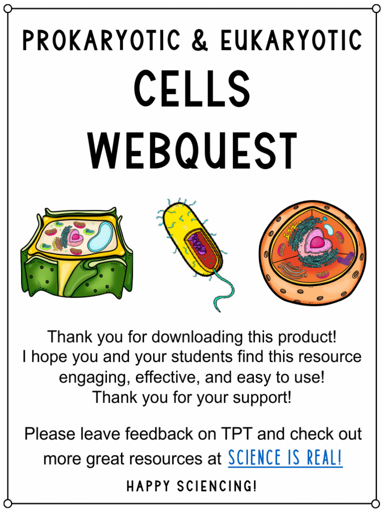 1 Read First Cells Webquest | PDF | Cell (Biology) | Eukaryotes
