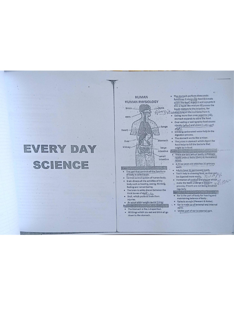 The Secret of Success (Everyday Science) | PDF