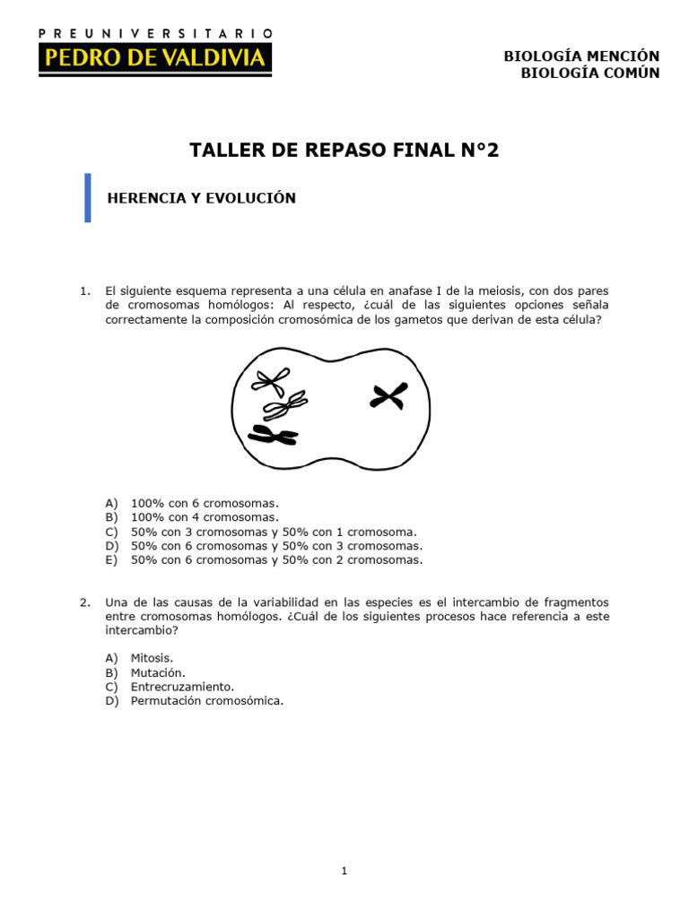 Taller de Repaso: Ciclo Celular | PDF | Mitosis | Mitosis