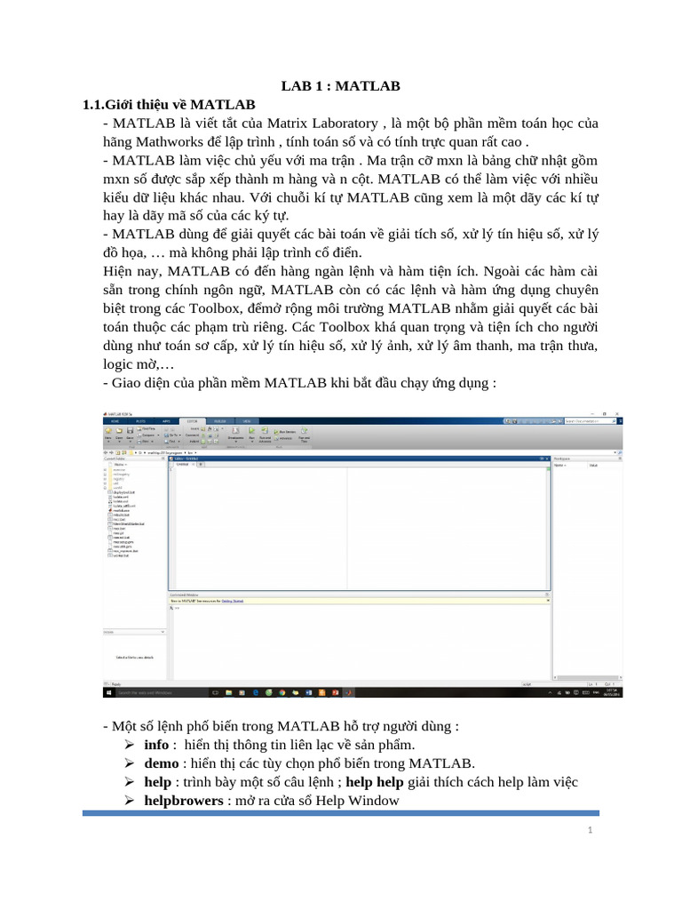 Bao-Cao-THHT (1) | PDF