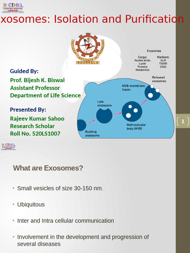 Exosome Isolation Techniques | PDF | Protein Purification | Centrifugation