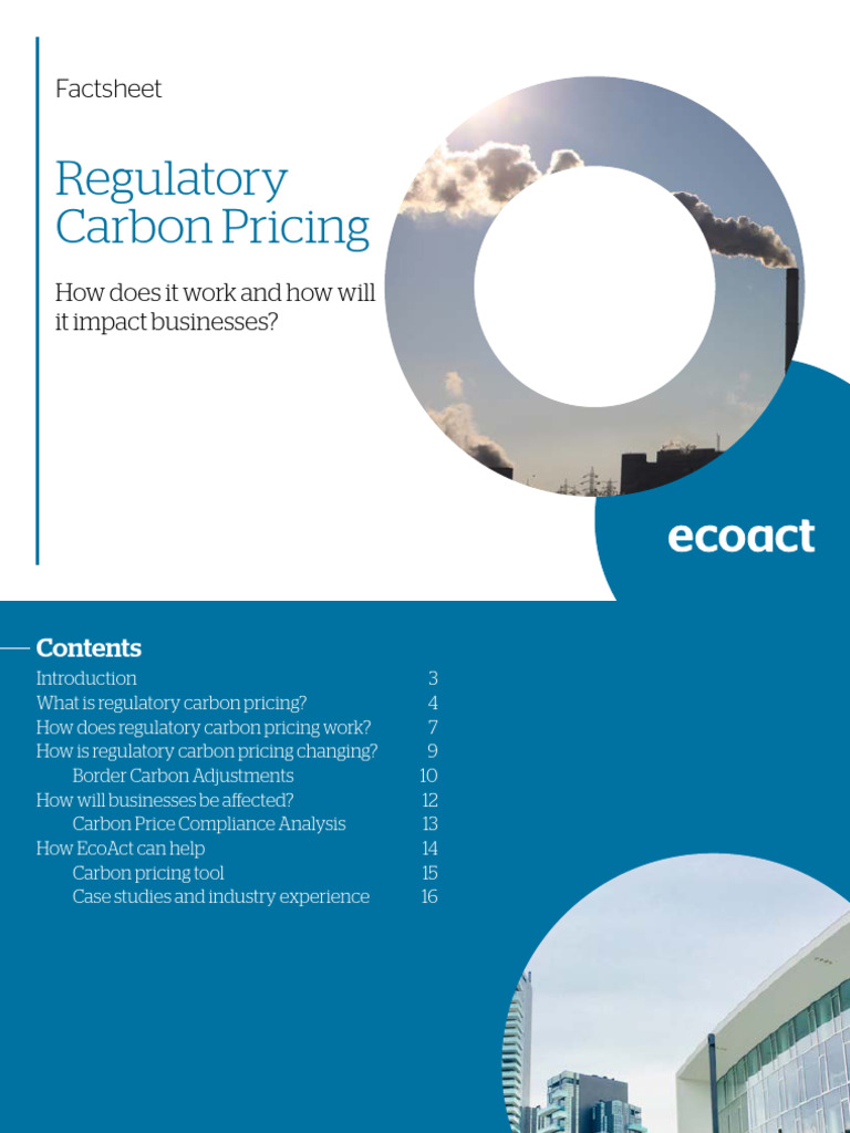 EcoAct Carbon Pricing - EN | PDF | Climate Change Mitigation | Climate ...