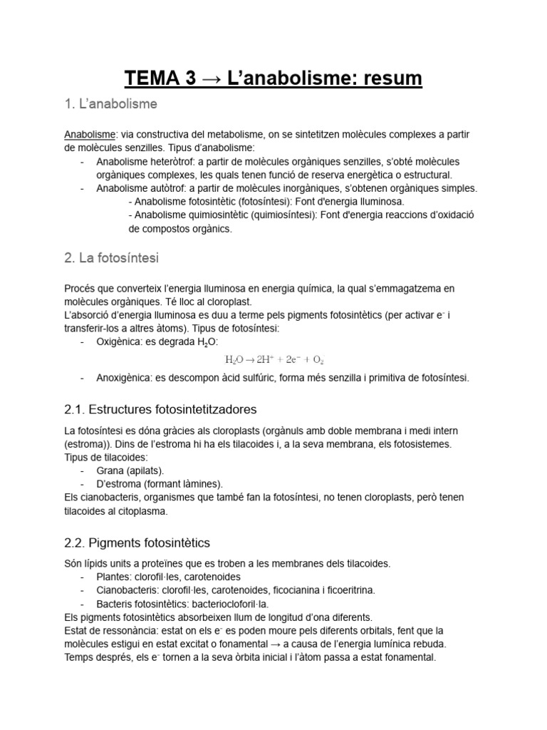 TEMA 3 L'anabolisme - Resum | PDF