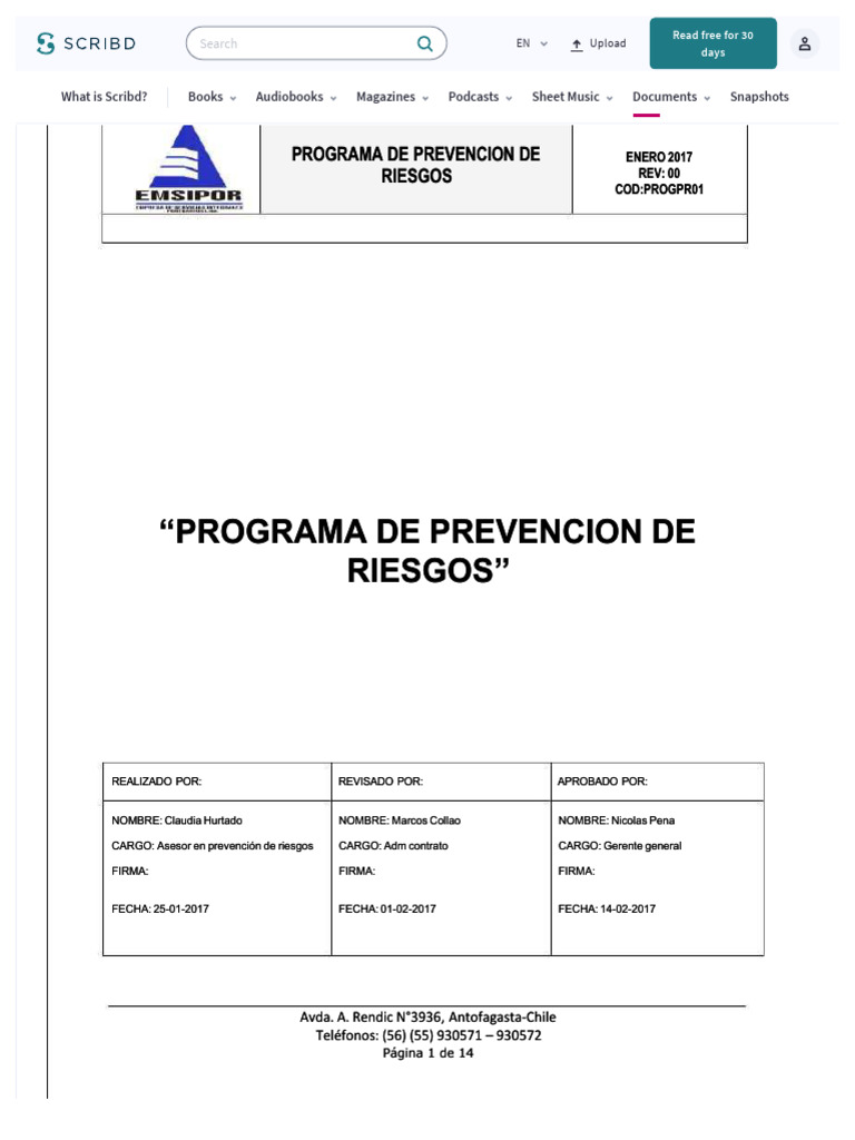 Programa de Prevencion de Riesgos | PDF | Scribd