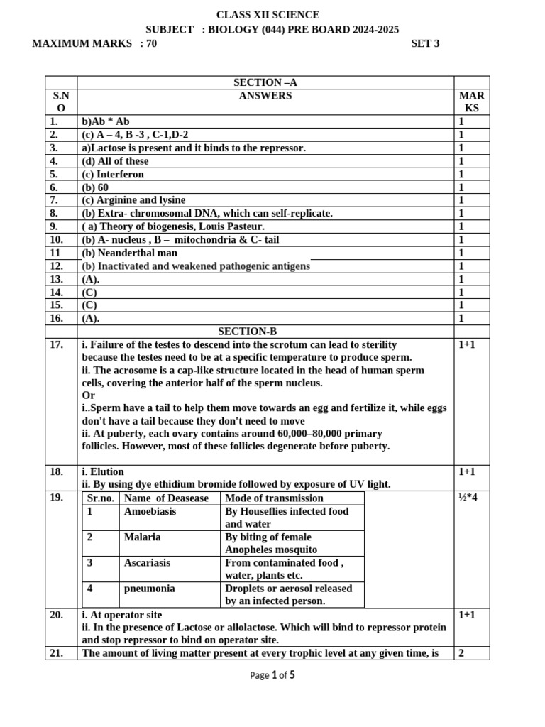 SET 3 MS BIO (PB 2024-25) Marking Scheme | PDF | Recombinant Dna ...
