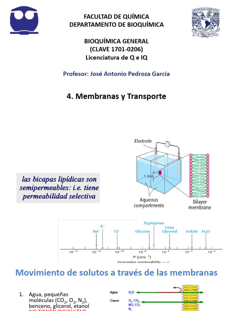 Transporte y Metabolismo Celular | PDF | Metabolismo | Trifosfato de adenosina