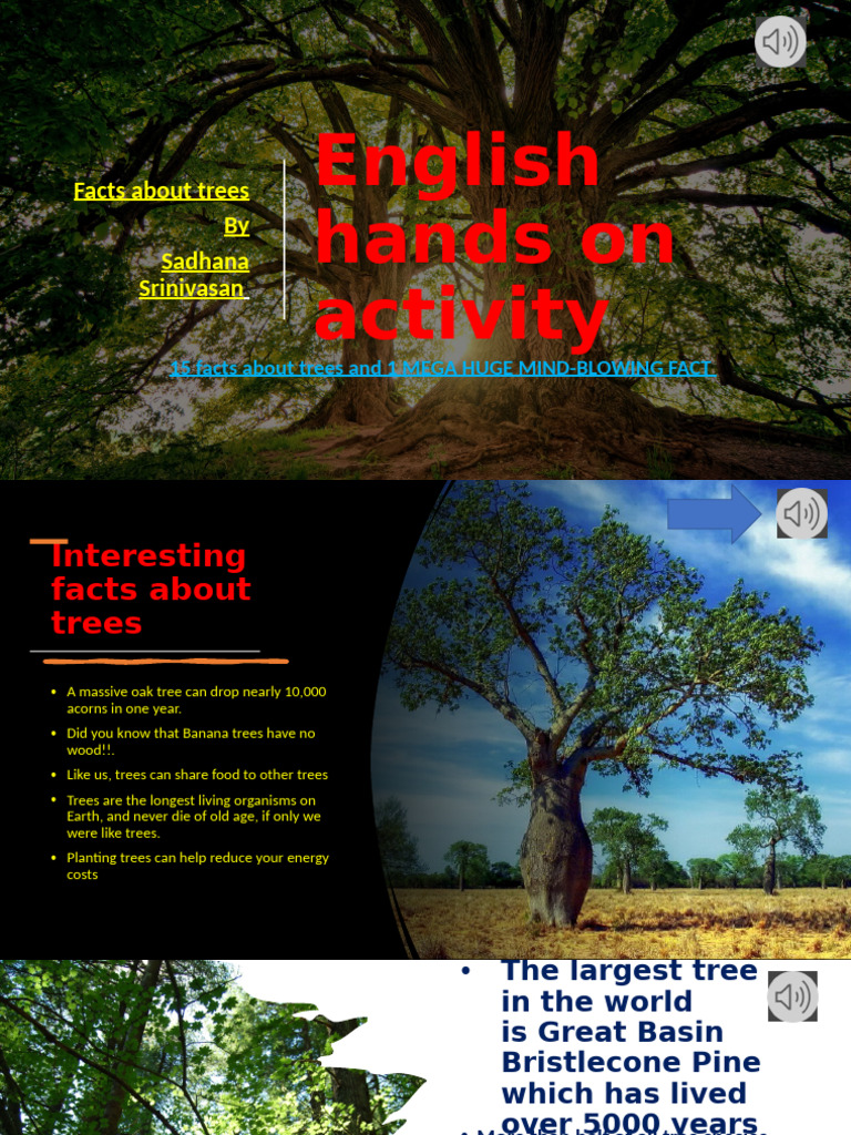 16 Mind-Blowing Tree Facts | PDF | Trees | Plants