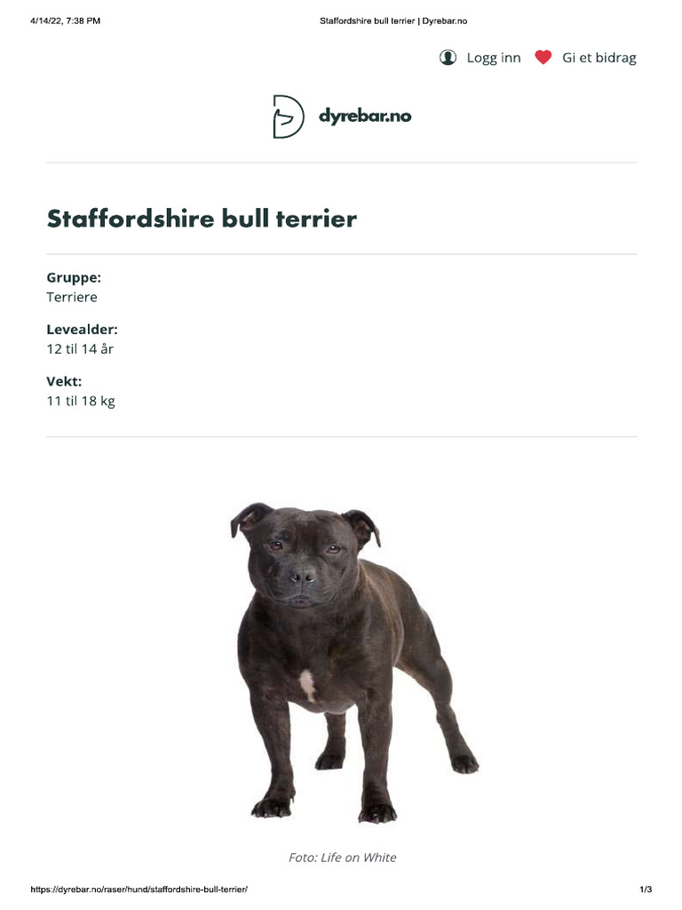hund | PDF