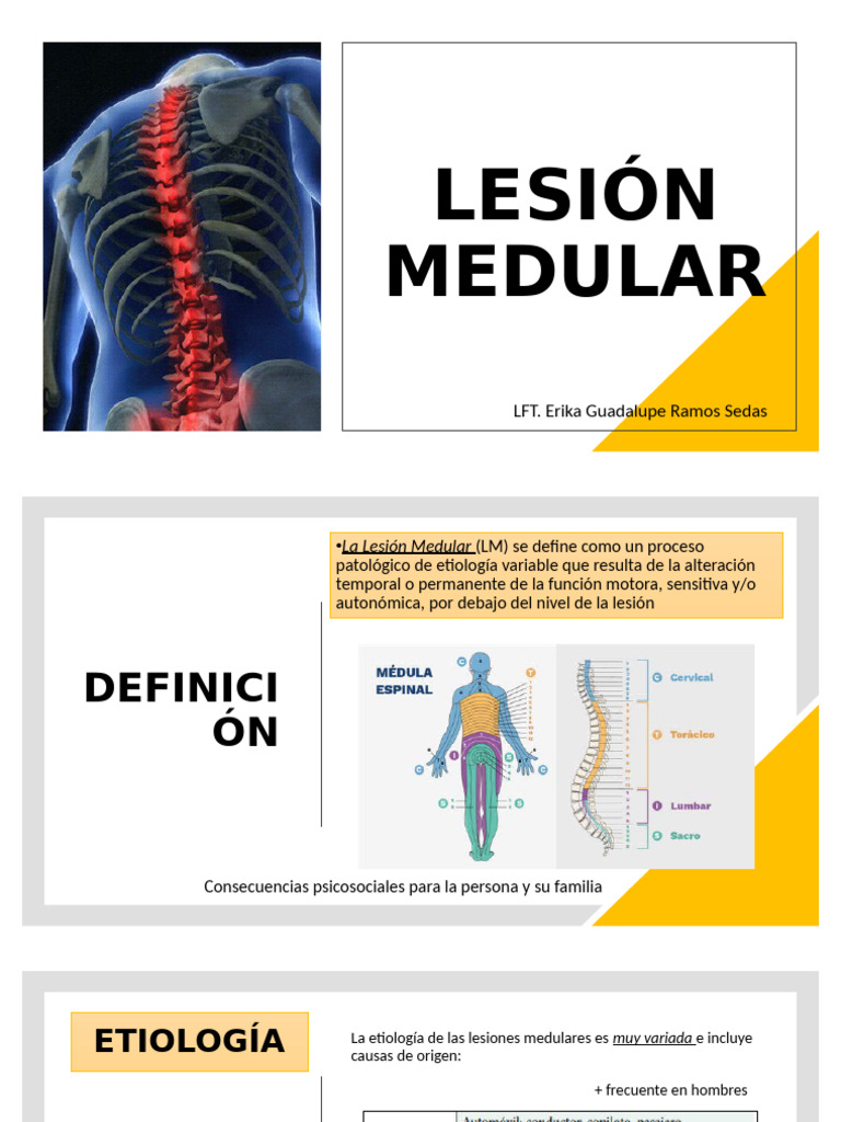 Lesión Medular | PDF | Lesión de la médula espinal | Médula espinal