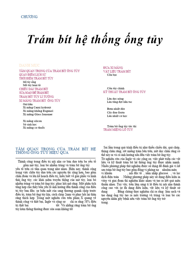 Chapter 10. TrÃ¡m Bã T Há Thá NG Á NG Tuá | PDF