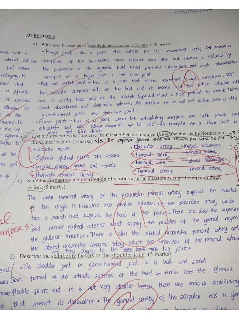 1st Semester Compiled Past Papers - Anatomy, Biochem | PDF