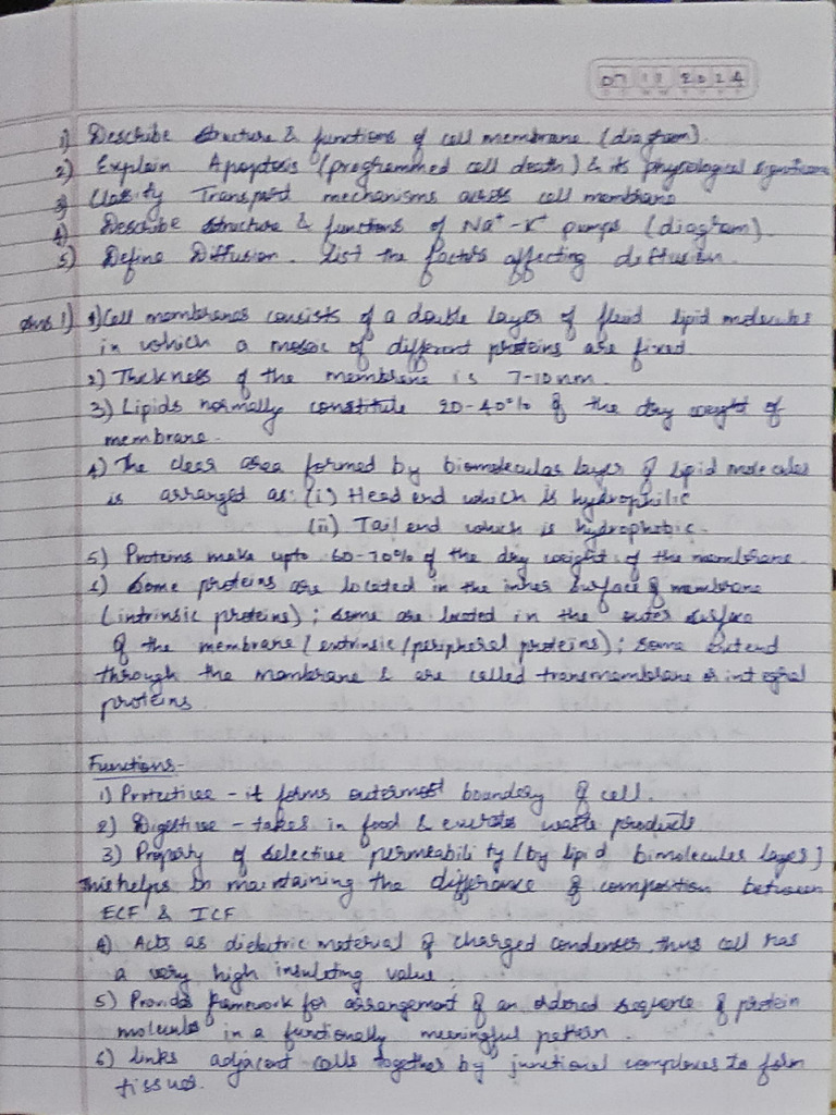 Adobe Scan 09-Dec-2024 | PDF