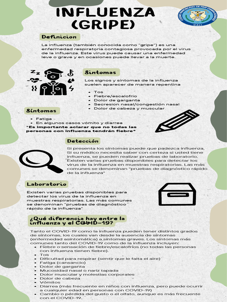Infografia Influenza | PDF