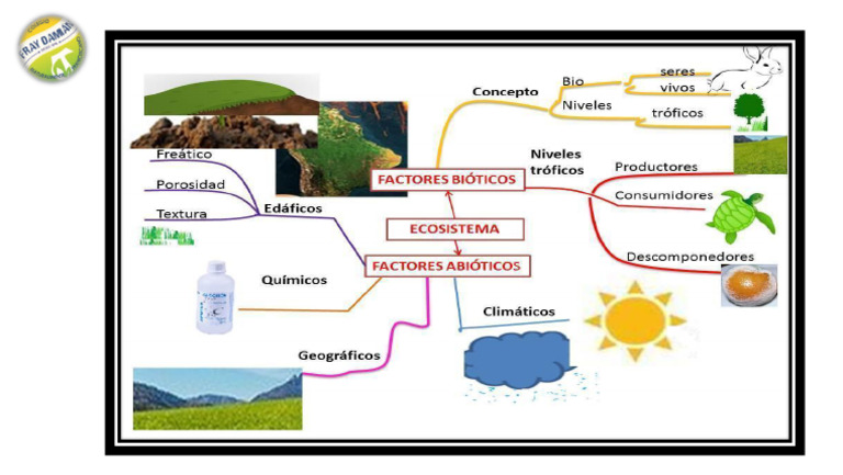 Imagen - Mapa Conceptual Grado 4 | PDF