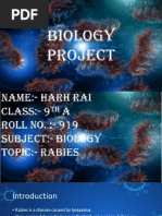Rabies Awareness Poster Ideas | PDF | Rabies