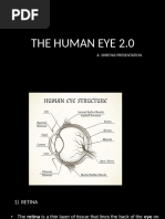 Sheep Eye Dissection Lab Guide | PDF | Eye | Facial Features