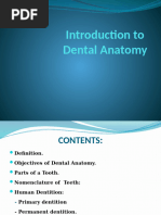 Triadan Tooth Numbering Guide | PDF | Dental Anatomy | Dentistry