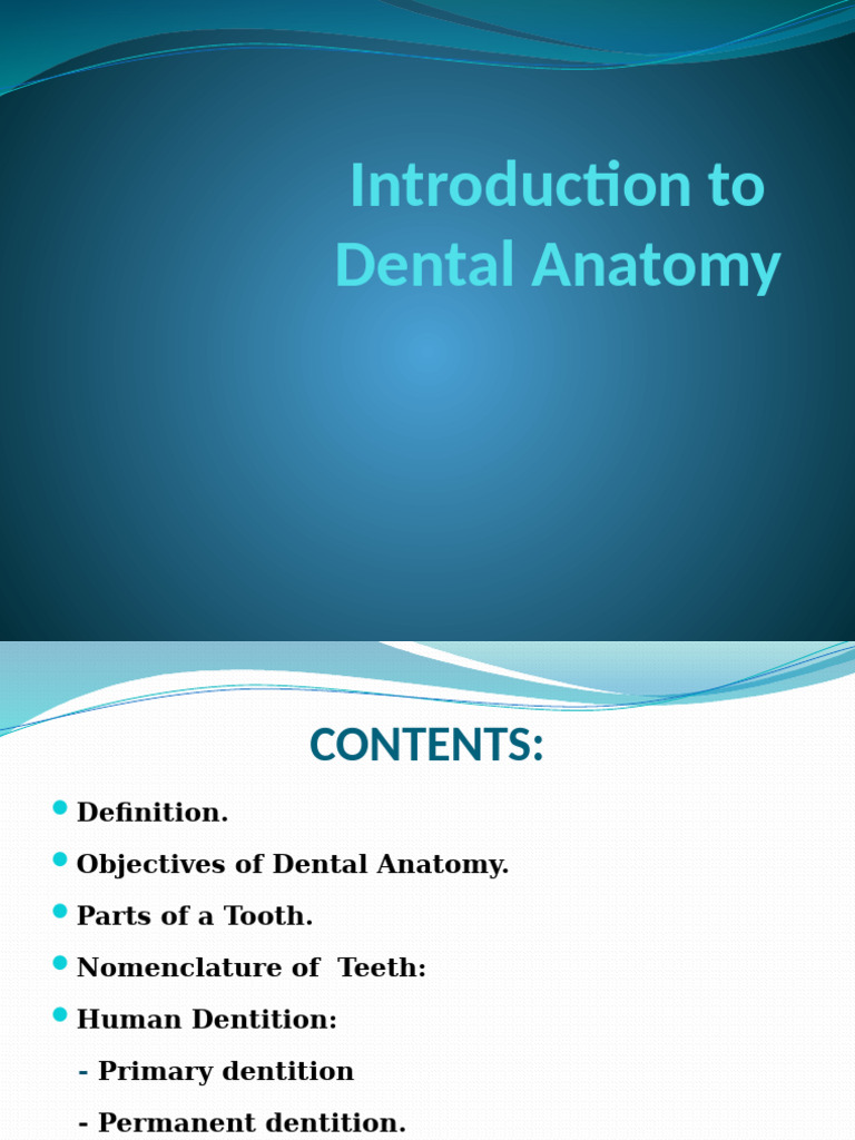 1 - Introduction To Dental Anatomy-1 | PDF | Human Tooth | Tooth