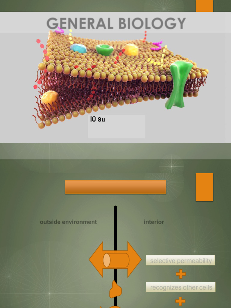 Pp L2 Biology 2020 | PDF | Cell Membrane | Metabolic Pathway Pp L2 Biology 2020 | PDF | Cell Membrane | Metabolic Pathway