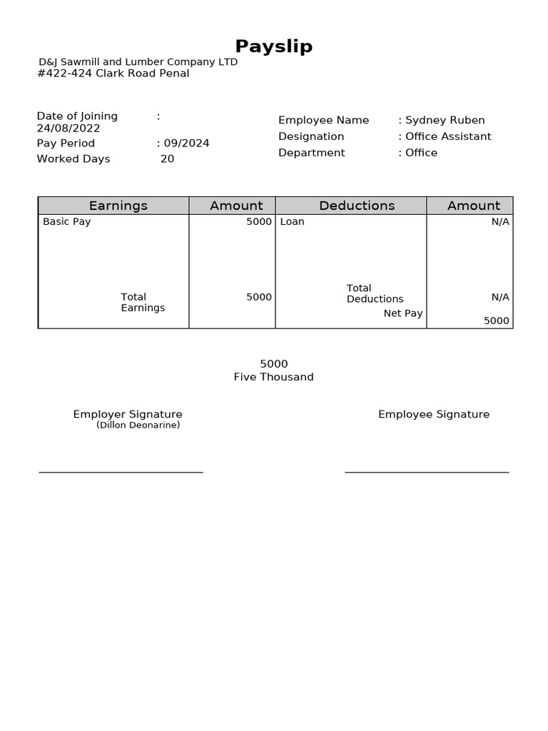 Payslipe Template Pdf
