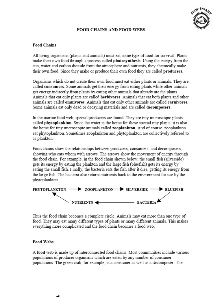 Food Chain | PDF | Plankton | Food Web