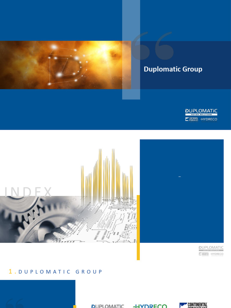 Duplomatic Group Corporate Overview 30-07-2021 | PDF | Quality ...