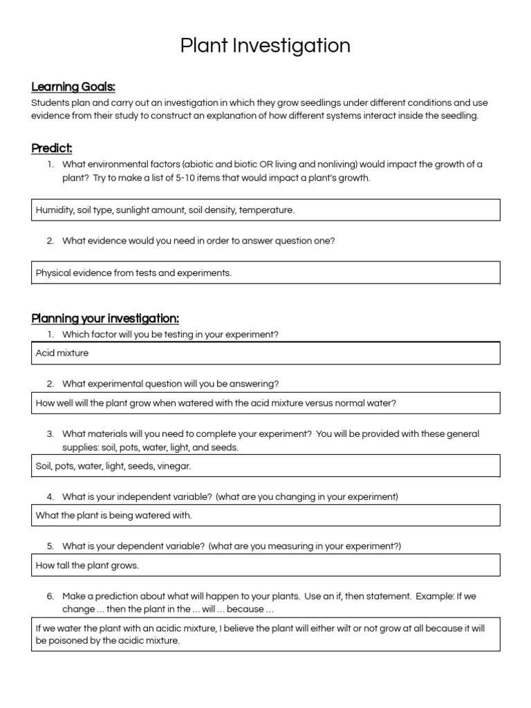 Plant Project | PDF | Experiment | Plants