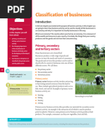 Business Activity & Classification of Business Lesson Plan For IGCSE ...