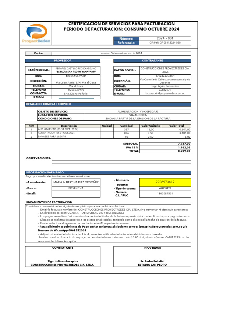 PREFACTURA_#20 ABELINO | PDF | Factura