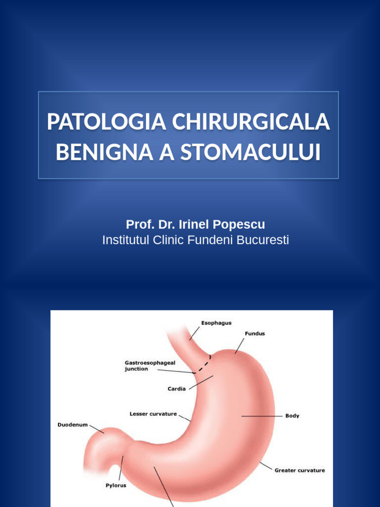 7 Stomac Benign2024 2 | PDF