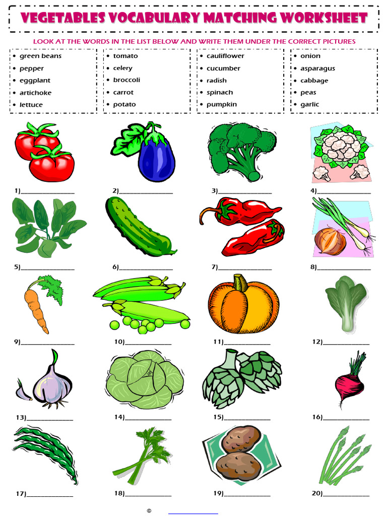 Vegetables Esl Vocabulary Matching Exercise Worksheet | PDF ...